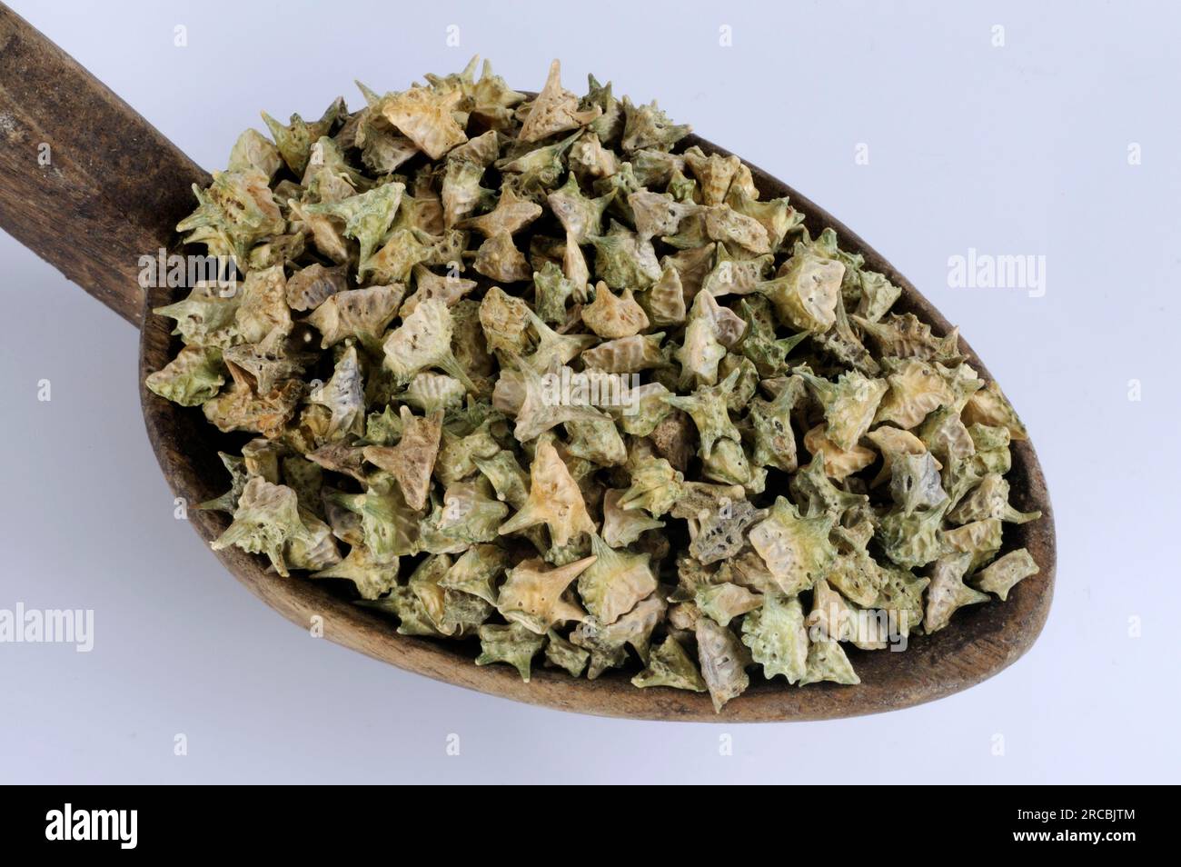 Burzel hi-res stock photography and images - Alamy