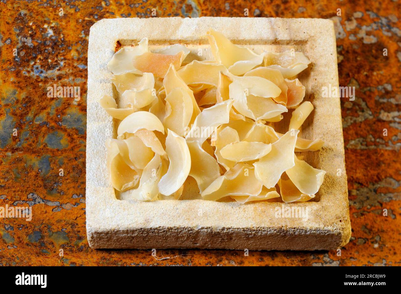 Chinese bulb hi-res stock photography and images - Alamy