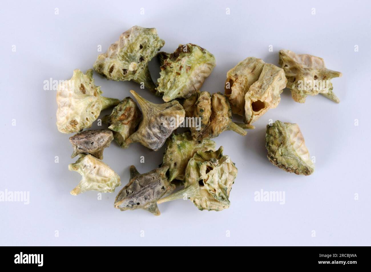 Burzel hi-res stock photography and images - Alamy