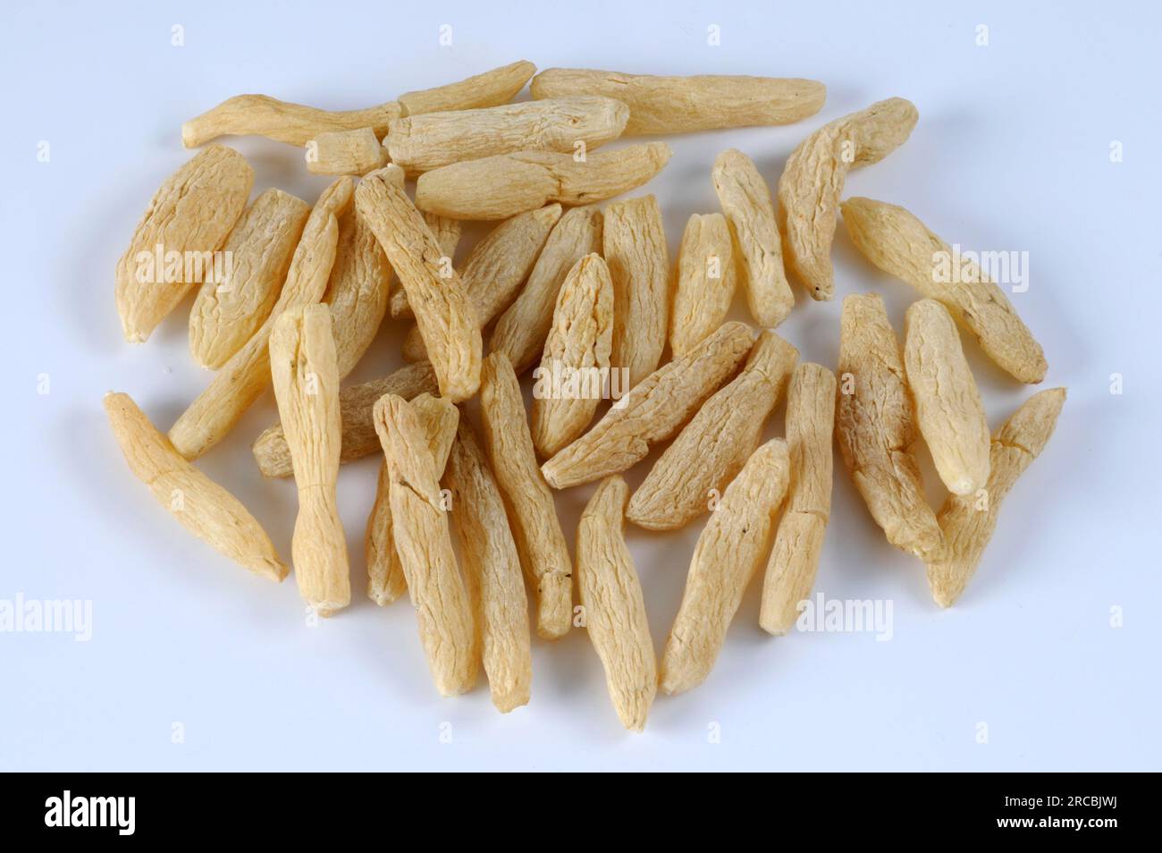 Snake's beard root (Ophiopogonis Radix), freeze frame, object Stock ...