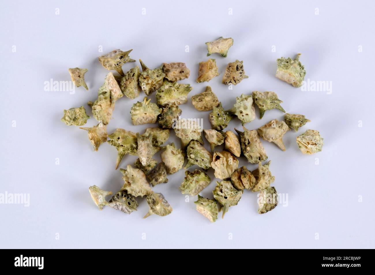 Burzel thorn fruit hi-res stock photography and images - Alamy