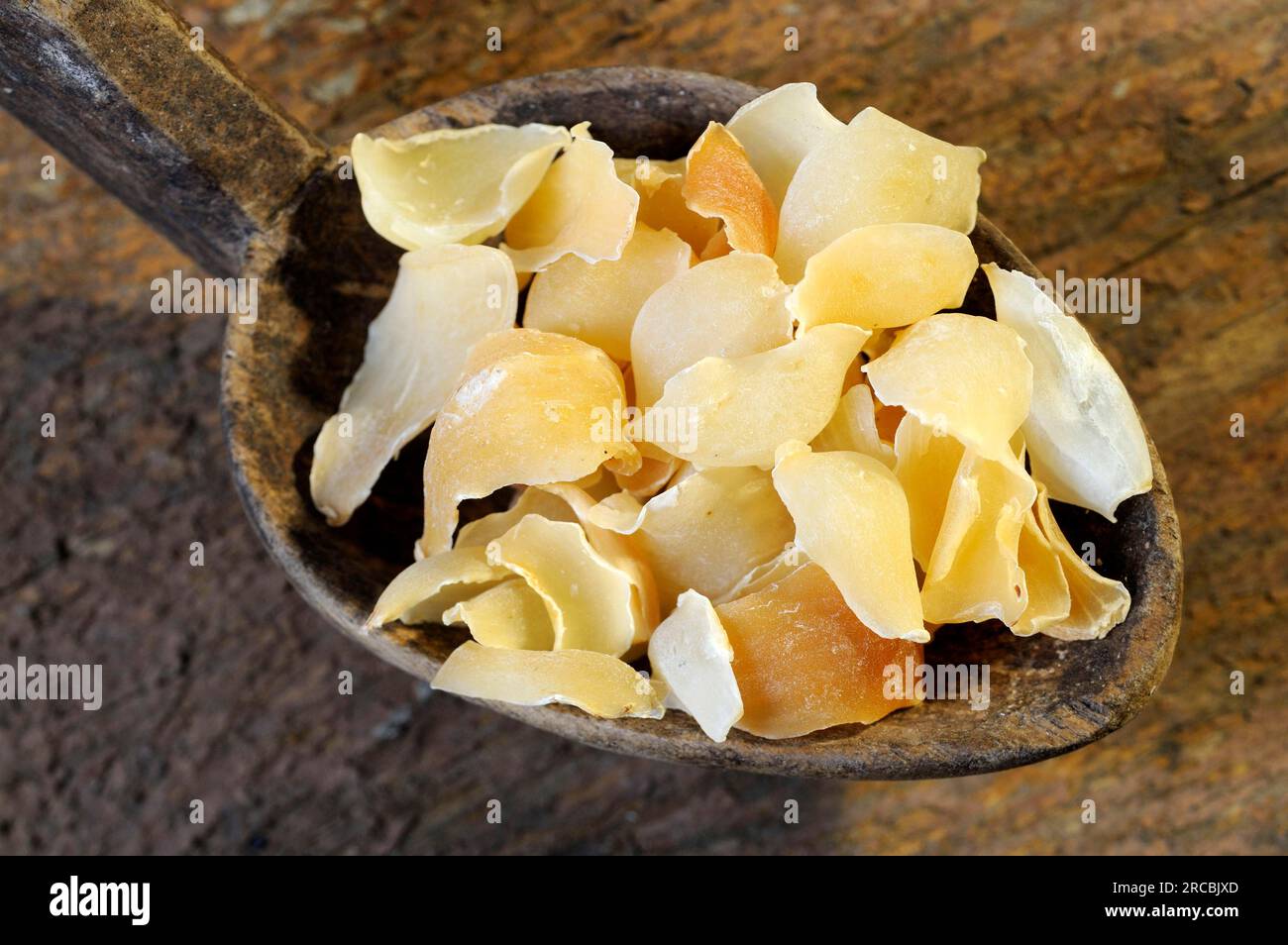 Chinese lily hi-res stock photography and images - Alamy