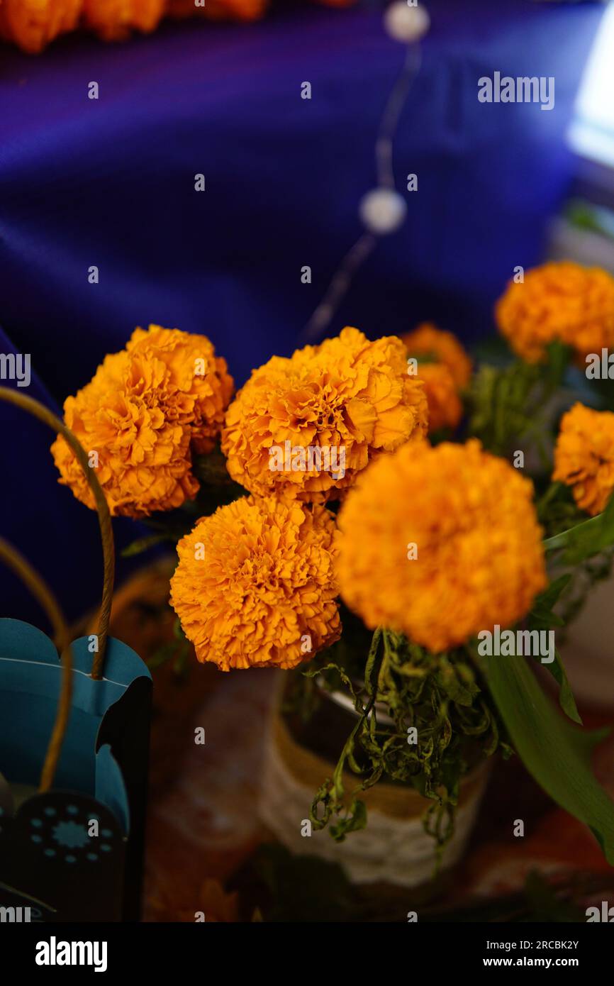 Flora folklore ceremony hi-res stock photography and images - Alamy