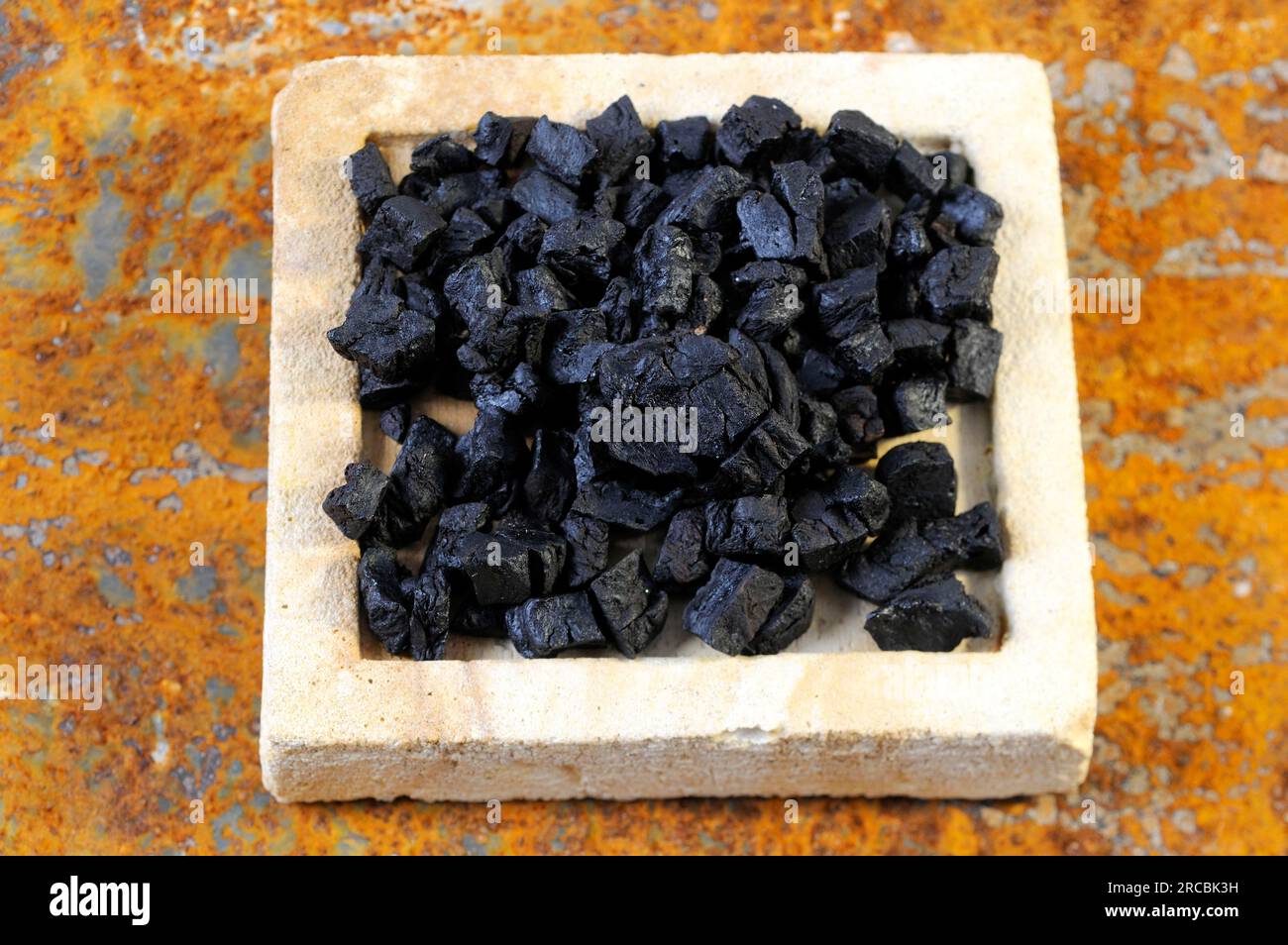 Radix rehmanniae hi-res stock photography and images - Alamy