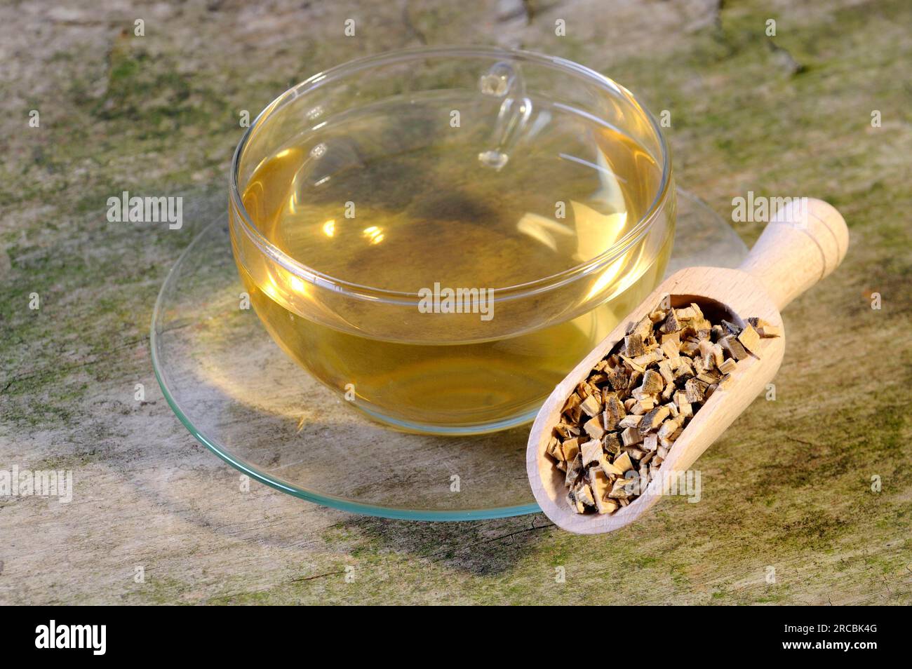 Cup silk acacia bark tea (Albiziae Cortex), silk acacia bark tea Stock ...