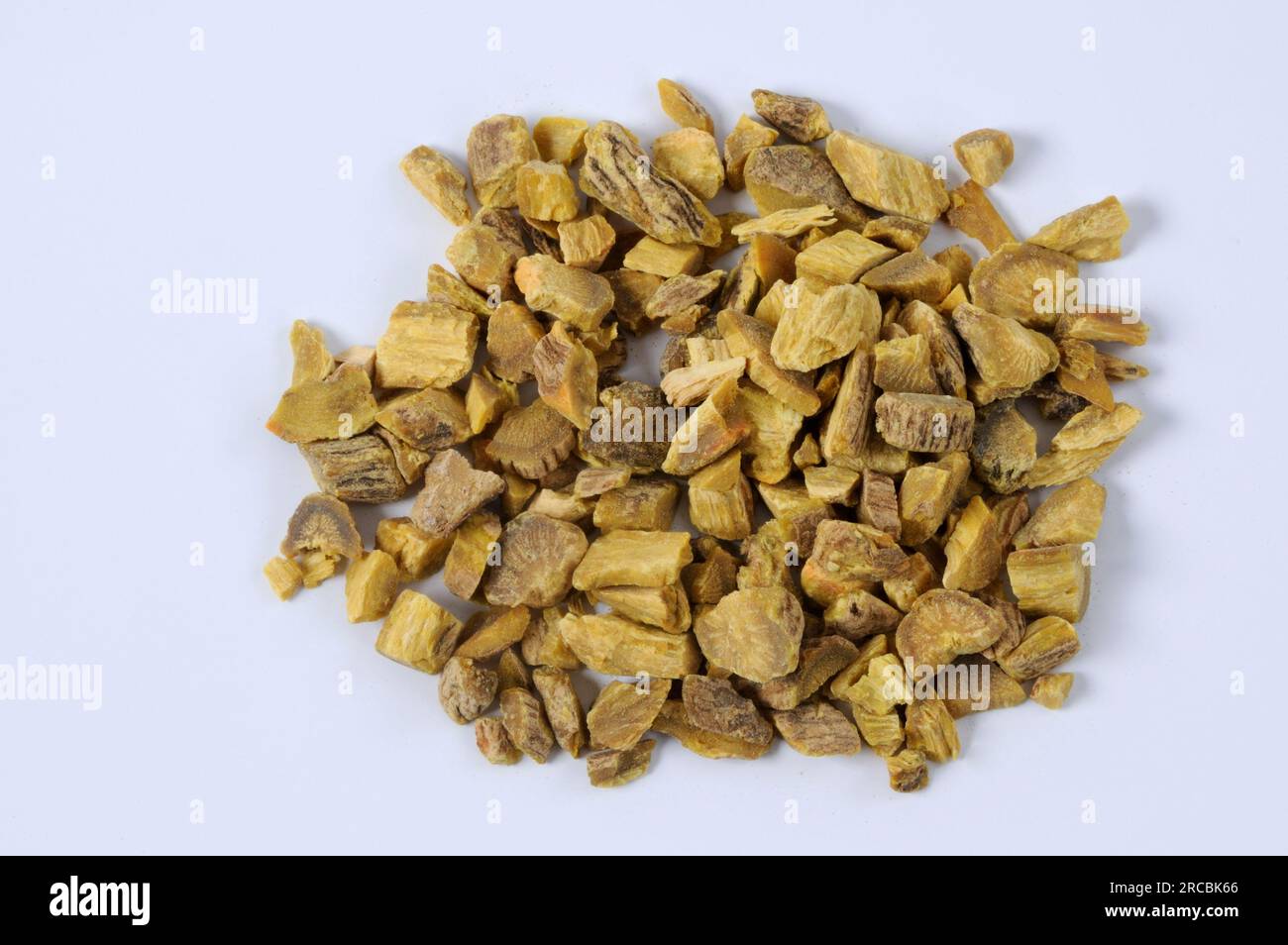 Root of Baikal hellebore (Scutellaria baicalensis radix), Baikal ...