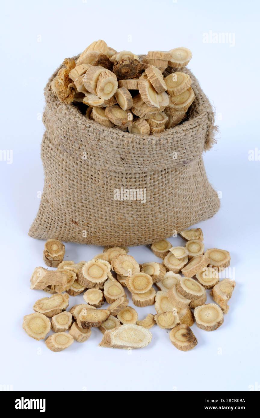Membrane milkvetch root (Astragalus membranaceus) (Astragali Radix ...