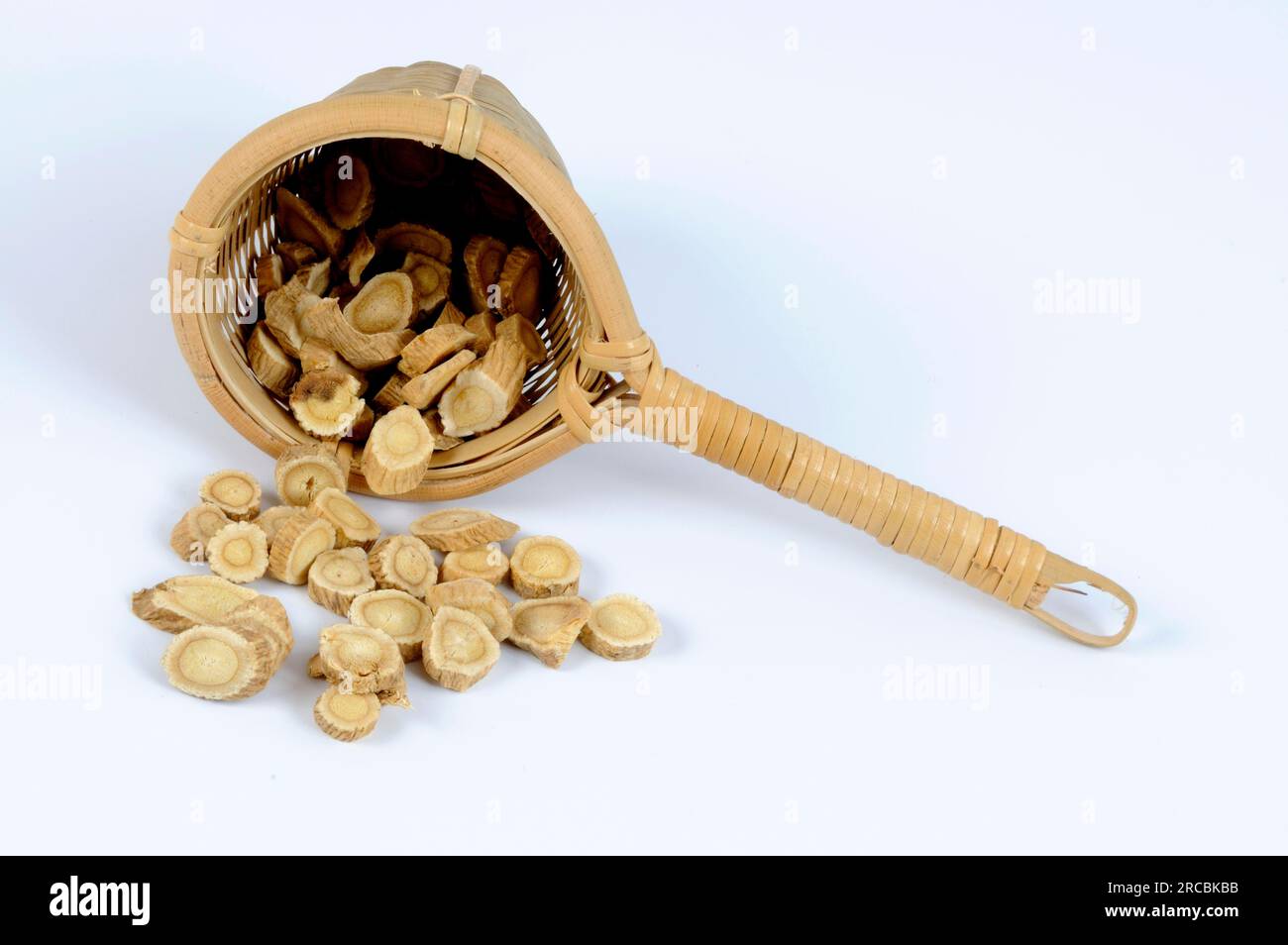 Membrane milkvetch root (Astragalus membranaceus) (Astragali Radix ...