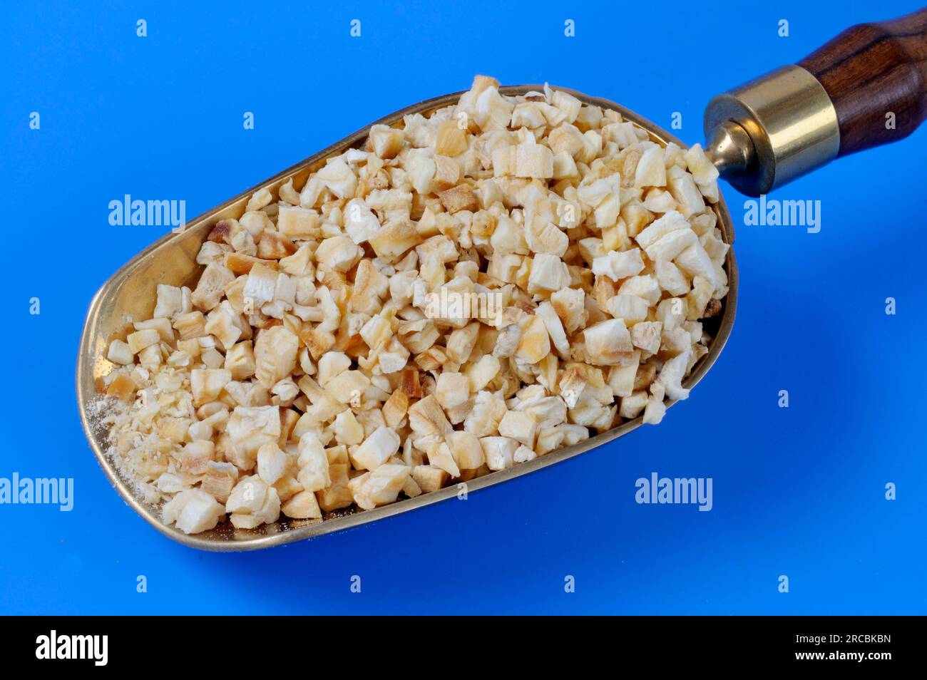 Platycodon root (Radix Platycodonis Stock Photo - Alamy