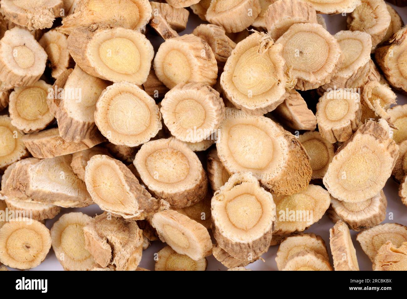 Membrane milkvetch root (Astragalus membranaceus) (Astragali Radix ...