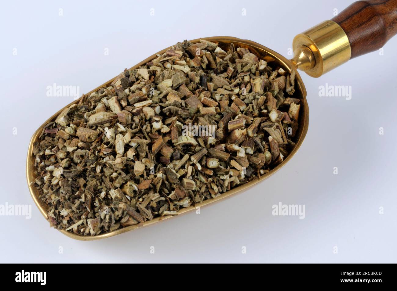 Chinese patchouli hi-res stock photography and images - Alamy