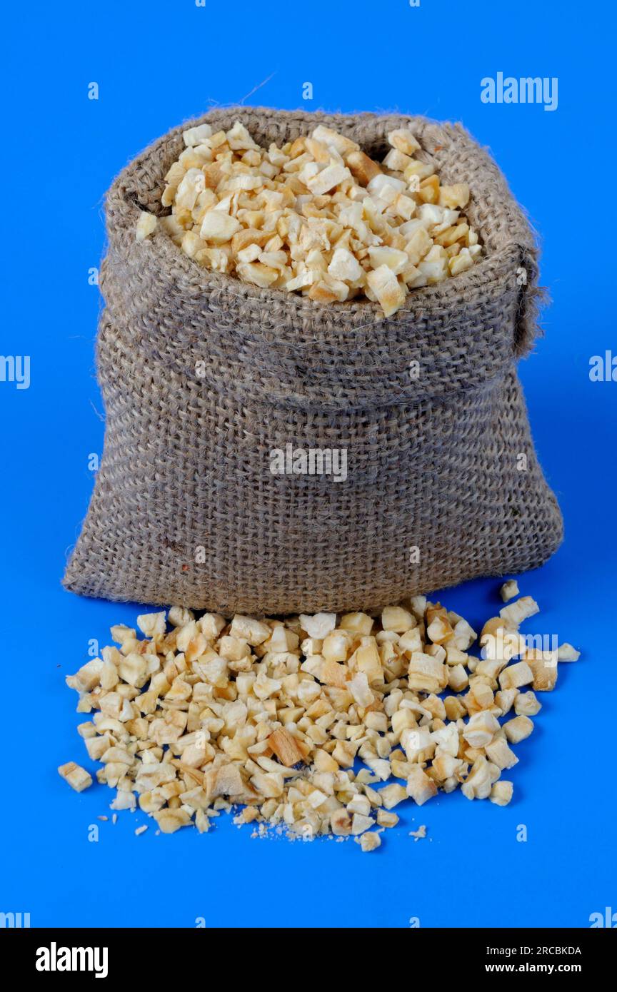 Balloon flower root (Radix platycodonis), freeze frame, object Stock ...