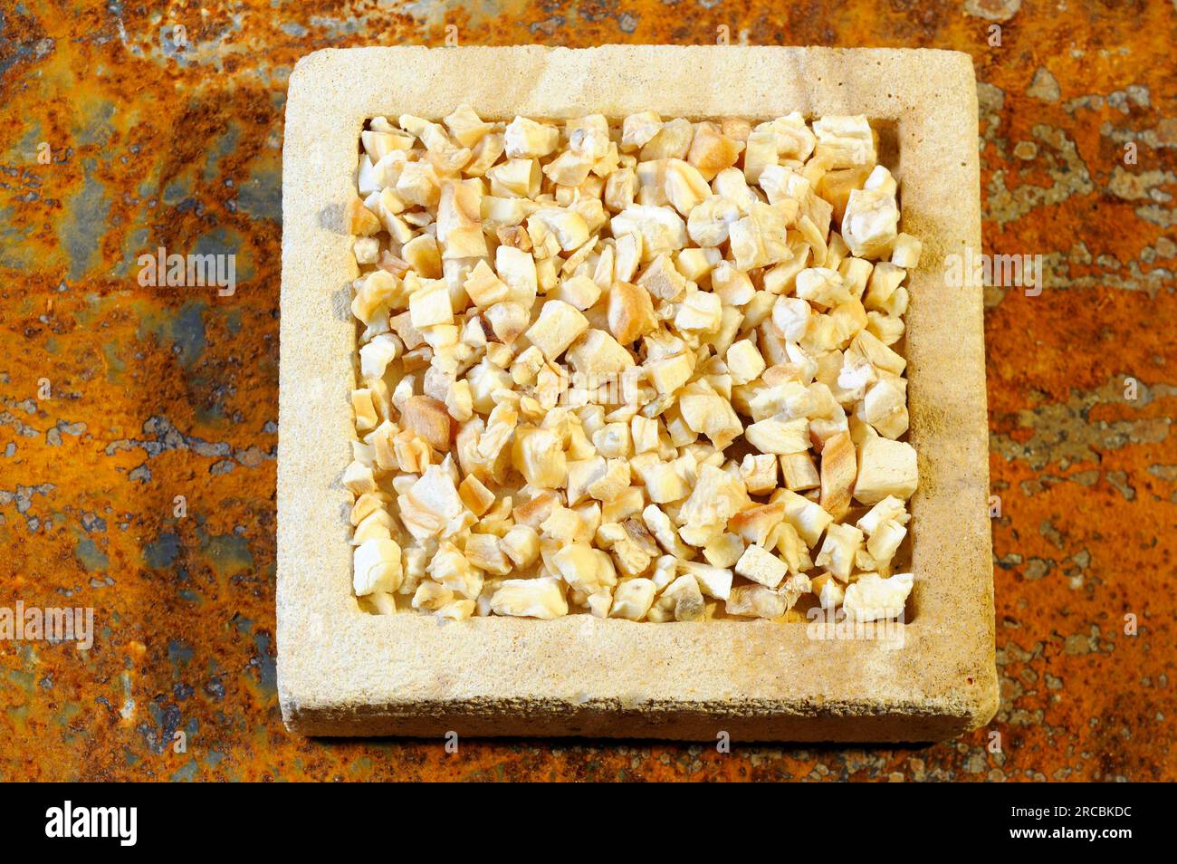 Platycodon root (Radix Platycodonis Stock Photo - Alamy