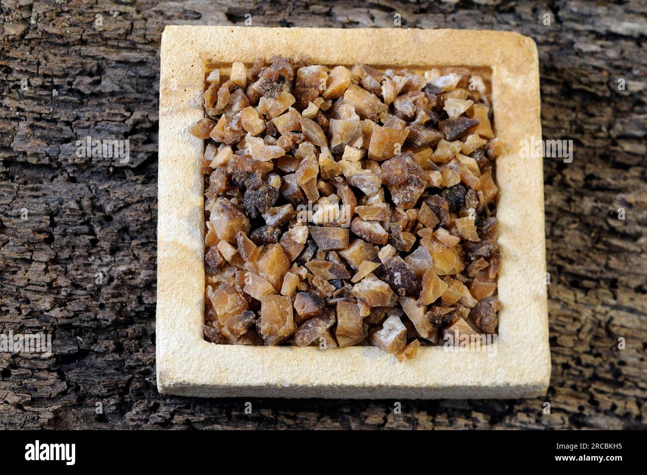 Firethorn root tubers (Arisaematis Rhizoma Stock Photo - Alamy