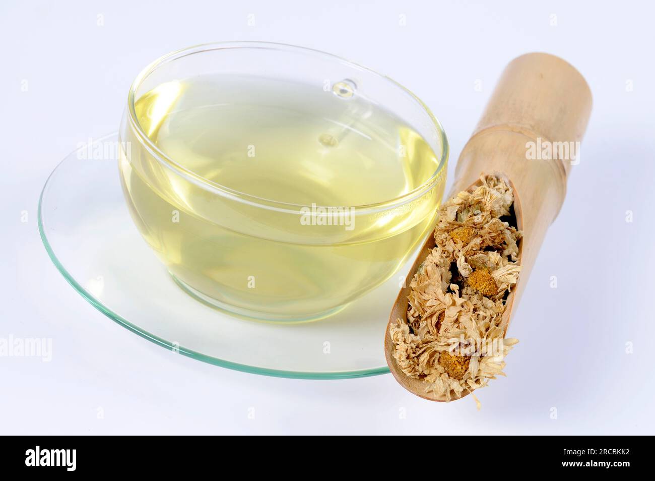 Chrysanthemi flos hi-res stock photography and images - Alamy