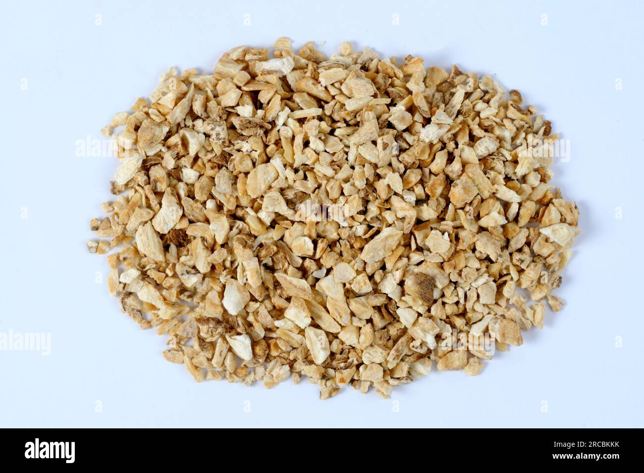 Chinese angelica root (Angelicae sinensis Radix), cut out, object Stock ...