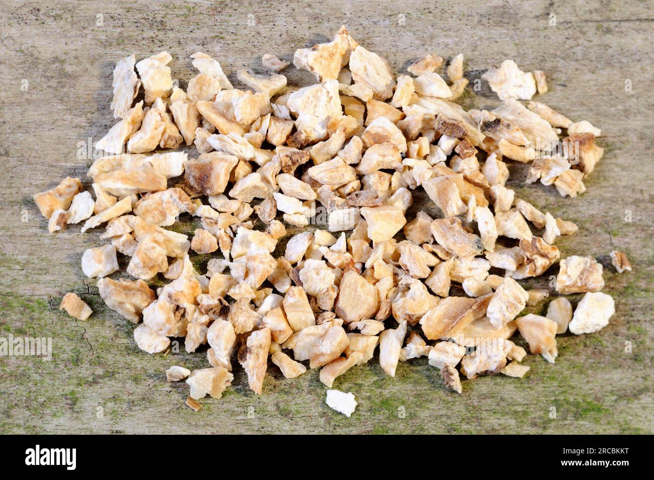 Chinese angelica tree hi-res stock photography and images - Alamy