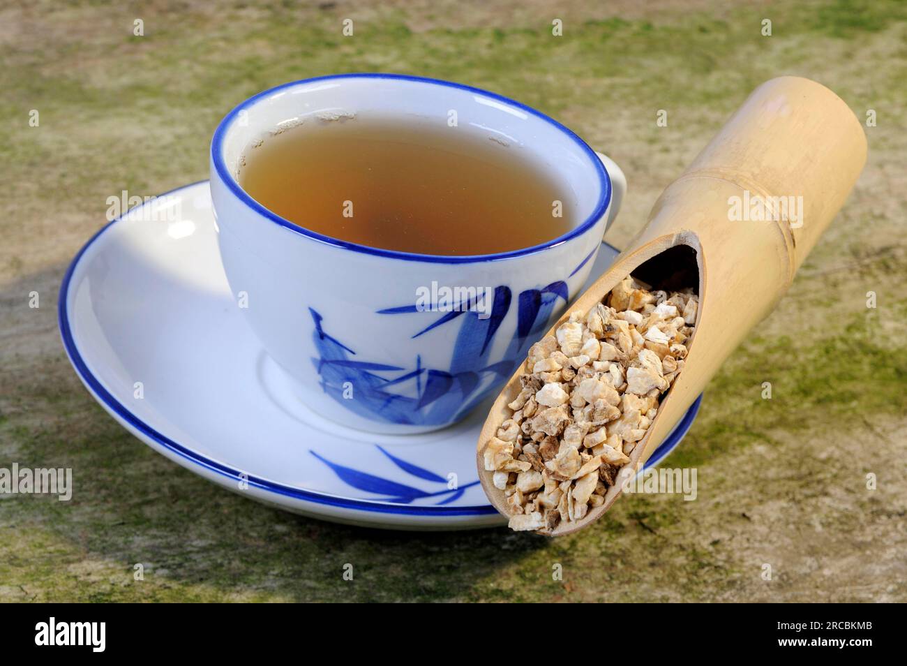 Cup Chinese Angelica Root Tea (Angelicae sinensis Radix), Angelica Root ...