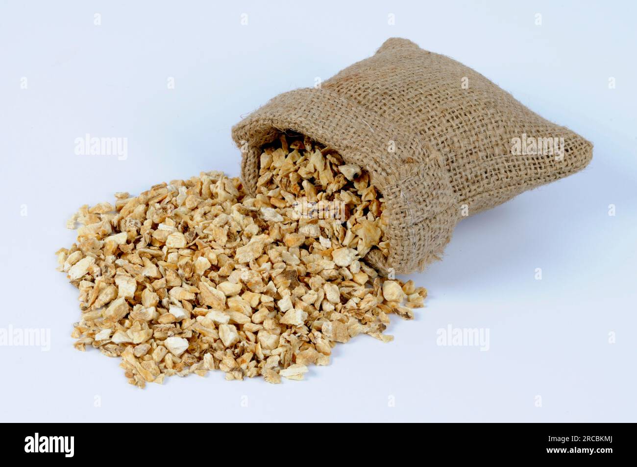 Chinese angelica root (Angelicae sinensis Radix), cut out, object Stock ...