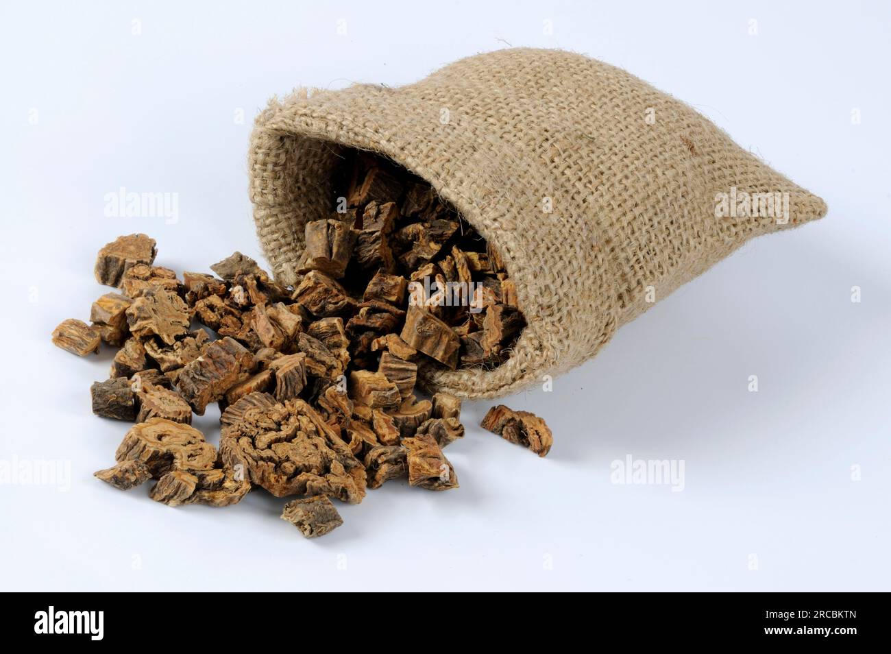 Large-leaved gentian root (Gentianae macrophyllae Radix), free-standing ...