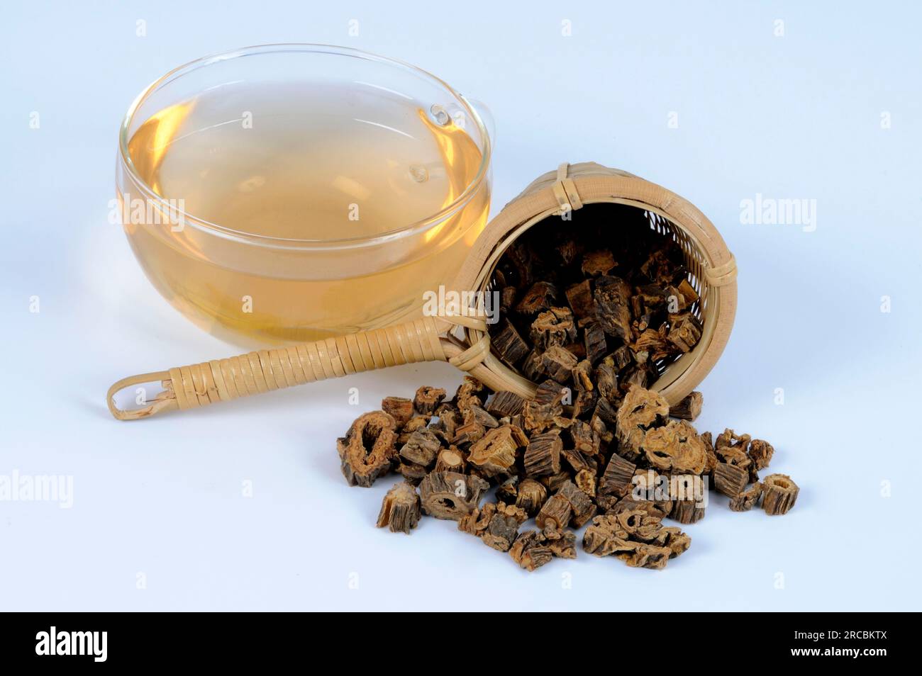 Cup of gentian root tea, large-leaved gentian root (Gentianae ...
