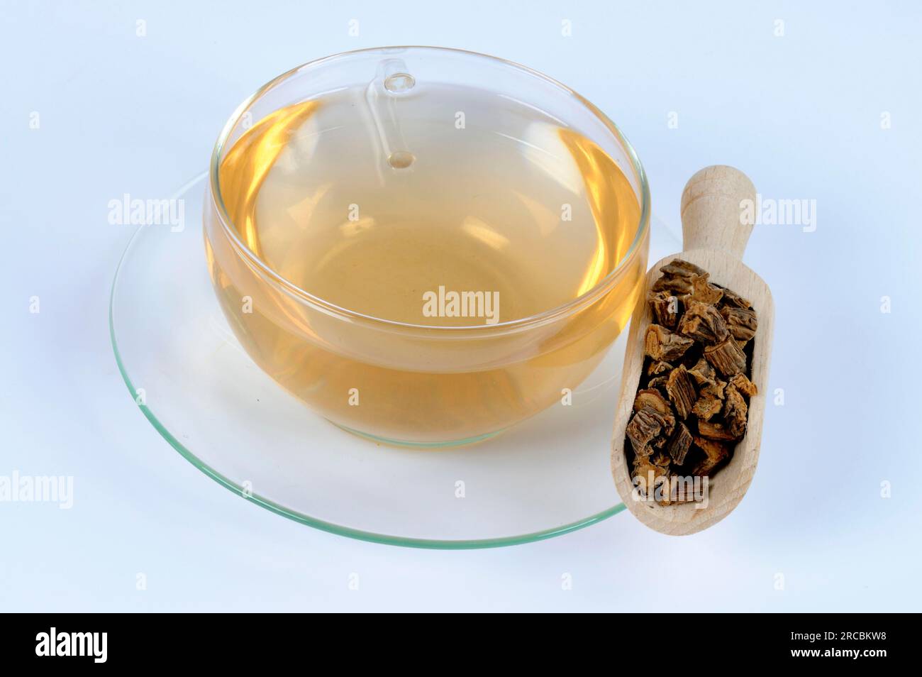 Cup of gentian root tea, large-leaved gentian root (Gentianae ...
