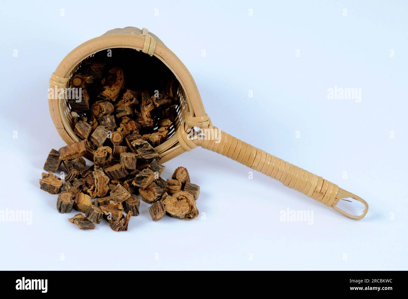 Large-leaved gentian root (Gentianae macrophyllae Radix), free-standing ...