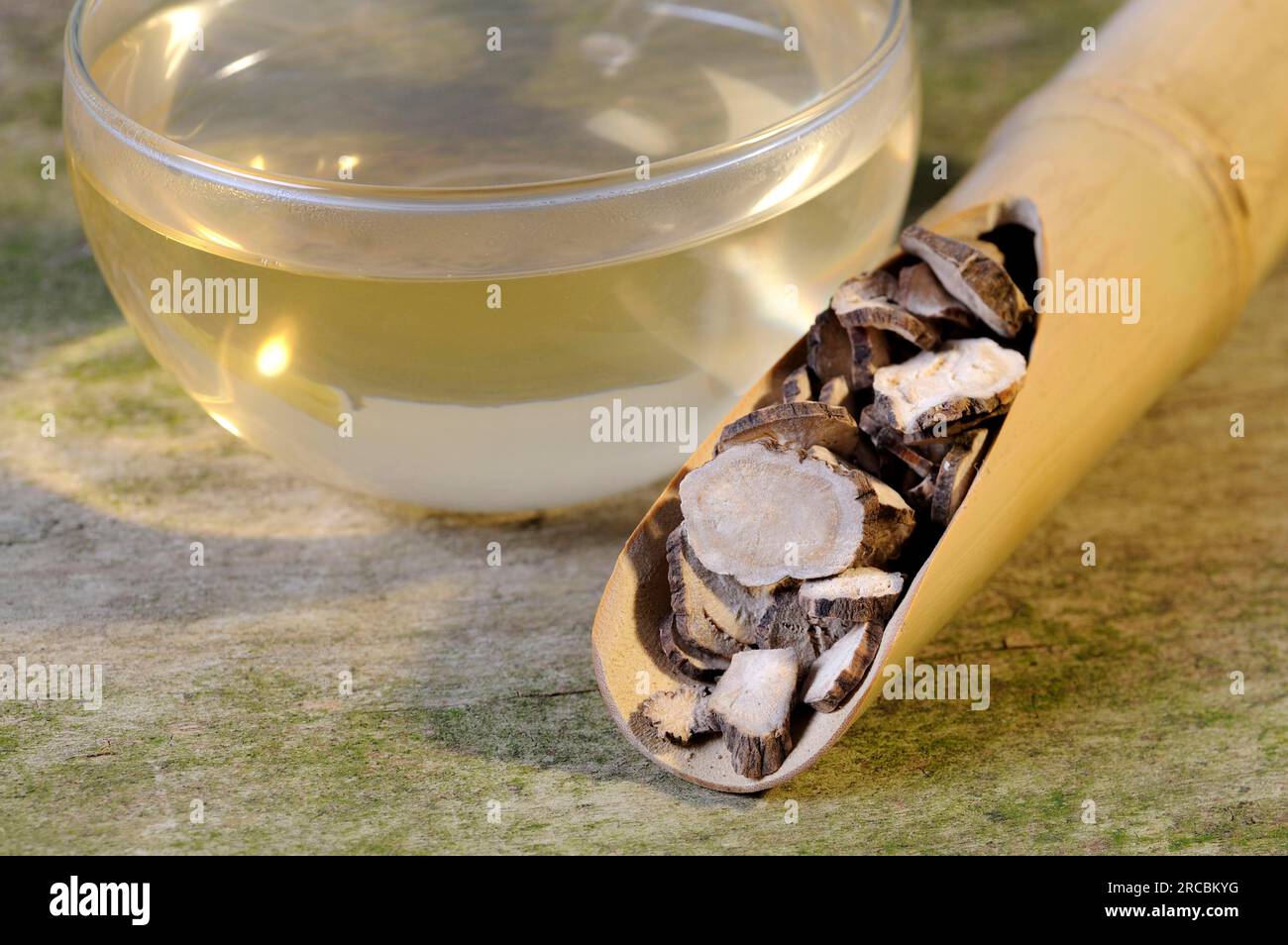 Red peony root hi-res stock photography and images - Alamy