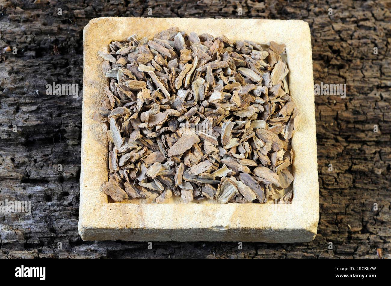 Fruit cortex hi-res stock photography and images - Alamy