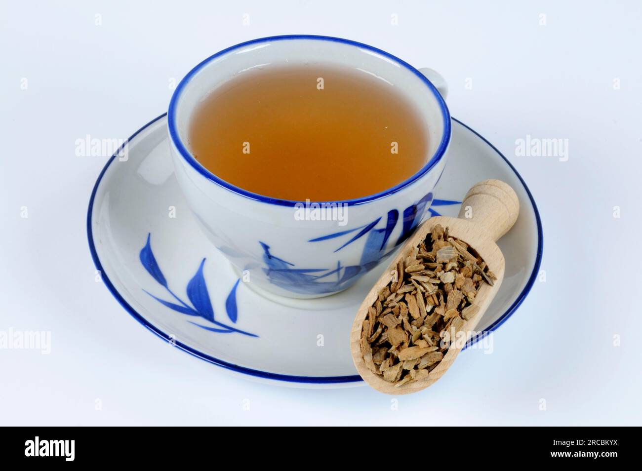 Cortex photography hi-res stock photography and images - Alamy