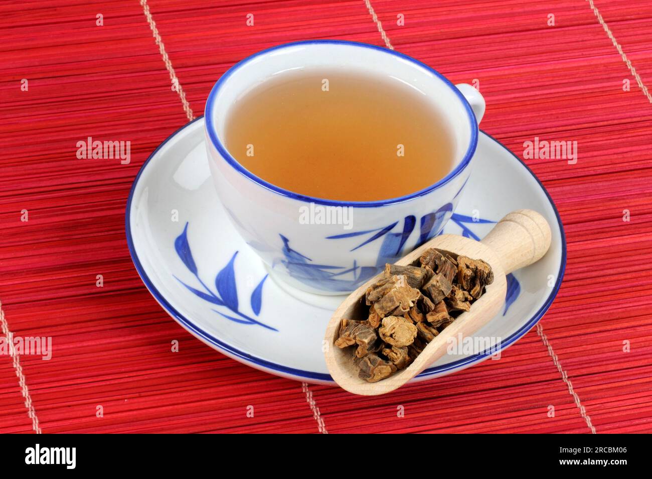 Cortex photography hi-res stock photography and images - Alamy