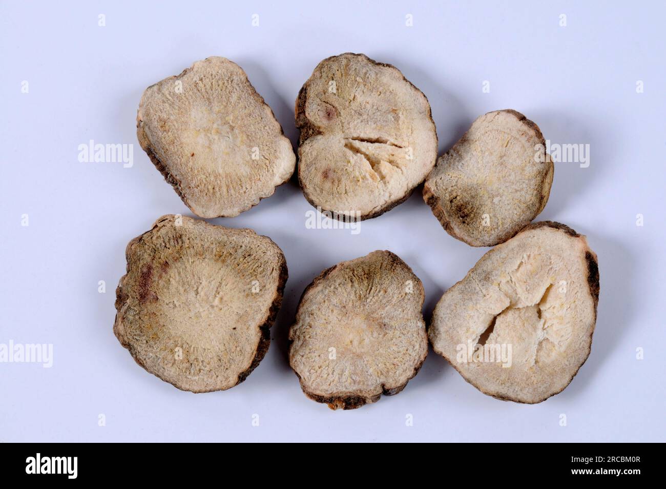 Red peony root (Paeoniae Radix Rubra), cut out, object Stock Photo - Alamy