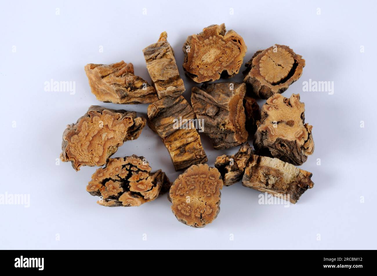 Large-leaved gentian root (Gentianae macrophyllae Radix), free-standing ...