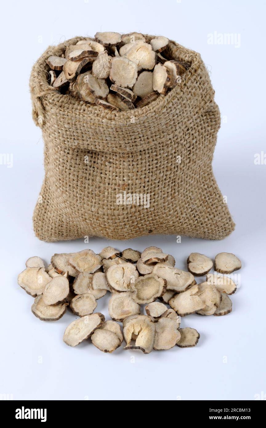 Red peony root (Paeoniae Radix Rubra), cut out, object Stock Photo - Alamy