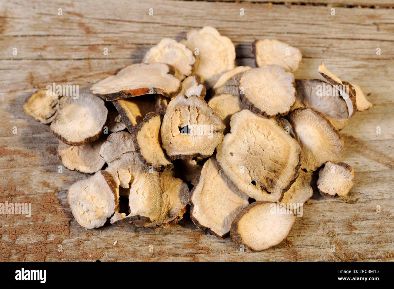 Red peony root (Paeoniae Radix Rubra Stock Photo - Alamy