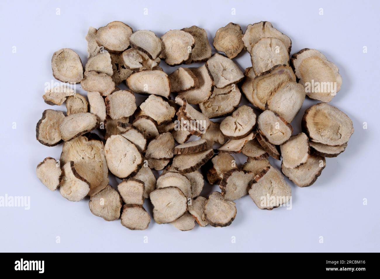 Red peony root (Paeoniae Radix Rubra), cut out, object Stock Photo - Alamy