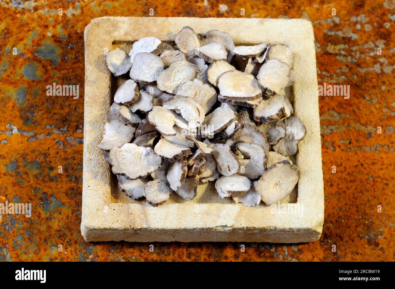 Red peony root hi-res stock photography and images - Alamy