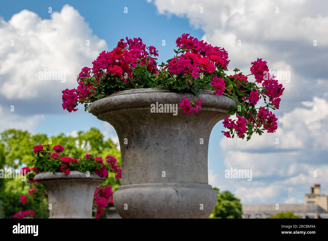 An amazing view footage of the Flora and Fauna taken during my trip to ...