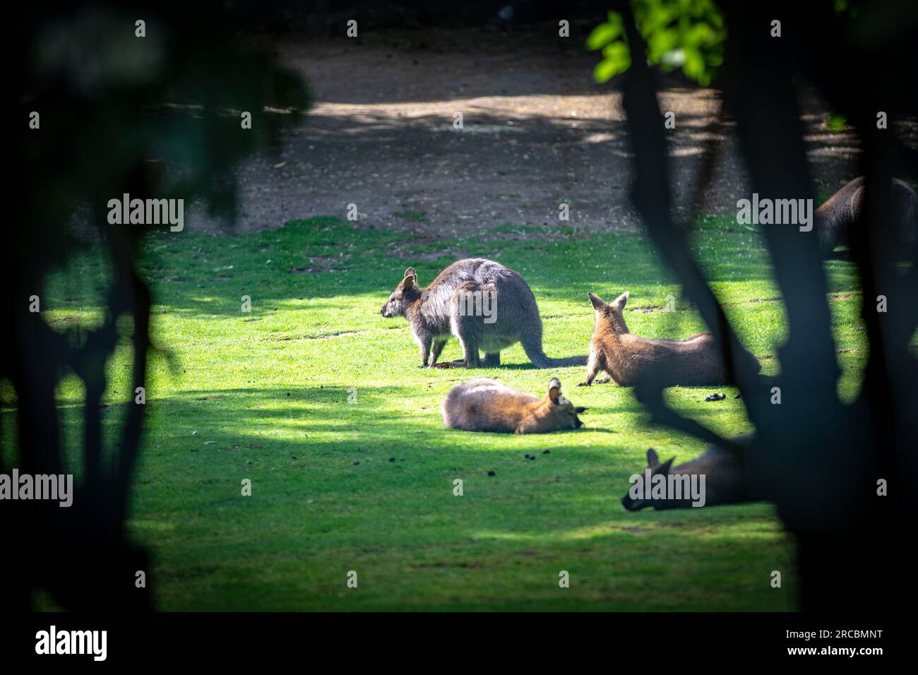 An amazing view footage of the Flora and Fauna taken during my trip to ...