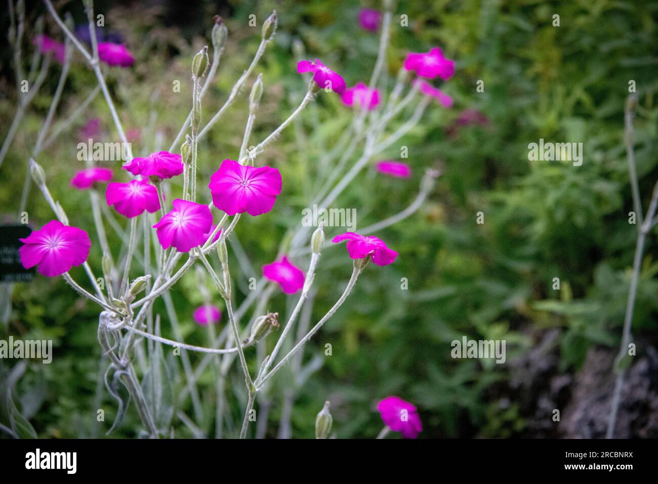 An amazing view footage of the Flora and Fauna taken during my trip to ...