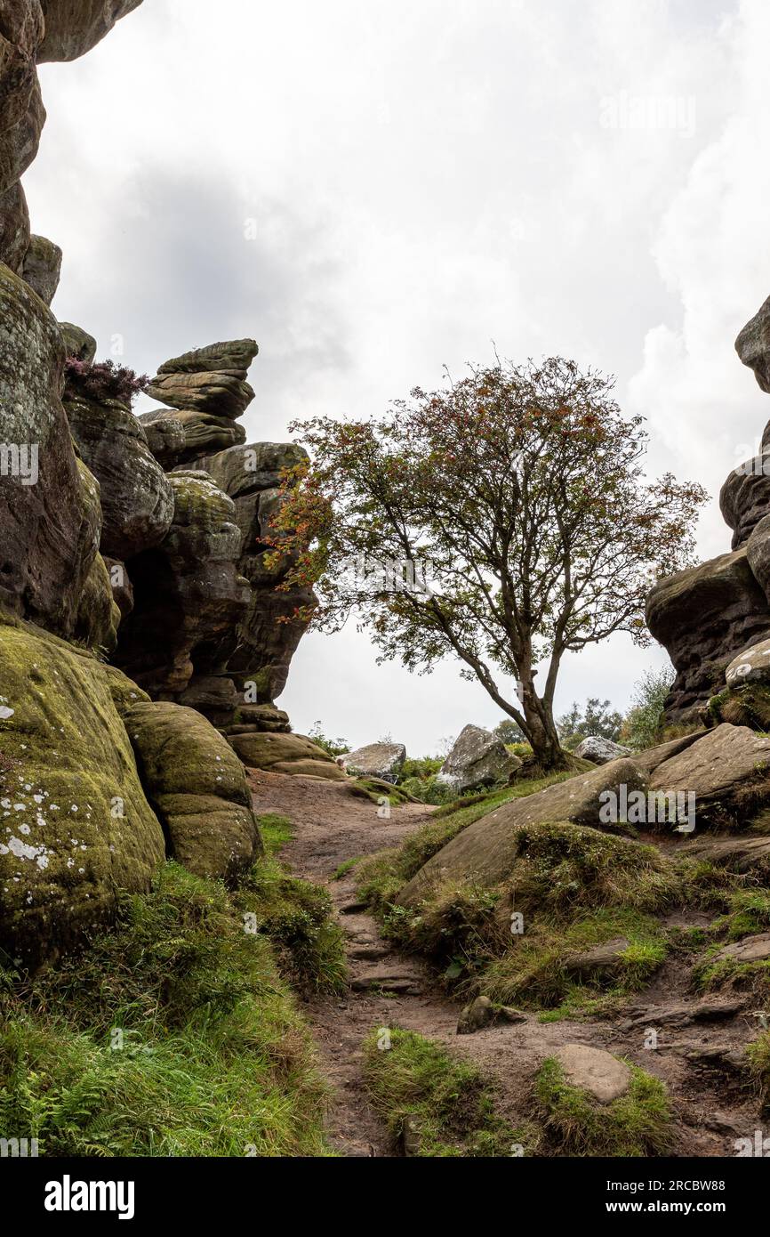 Scenic view footage taken of the nature and Flora and Fauna Stock Photo ...