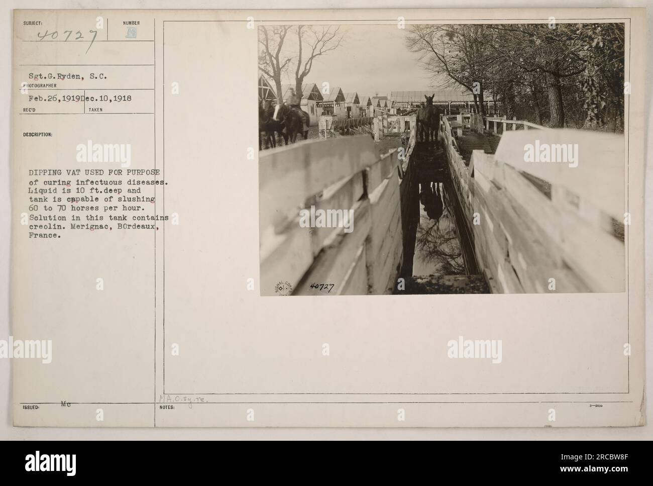 Creolin solution hi-res stock photography and images - Alamy