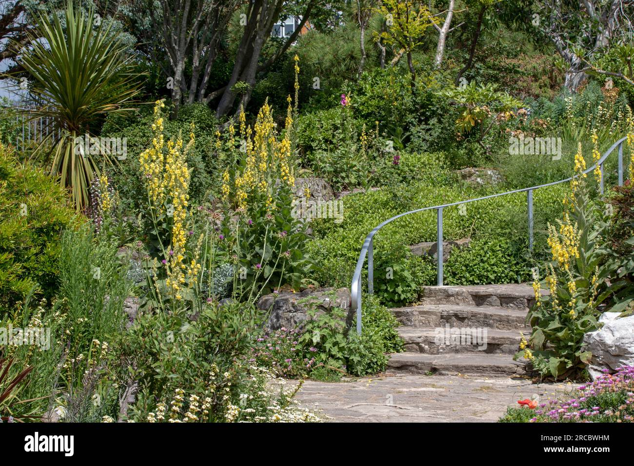 An amazing view footage of the Flora and Fauna taken during my trip to ...