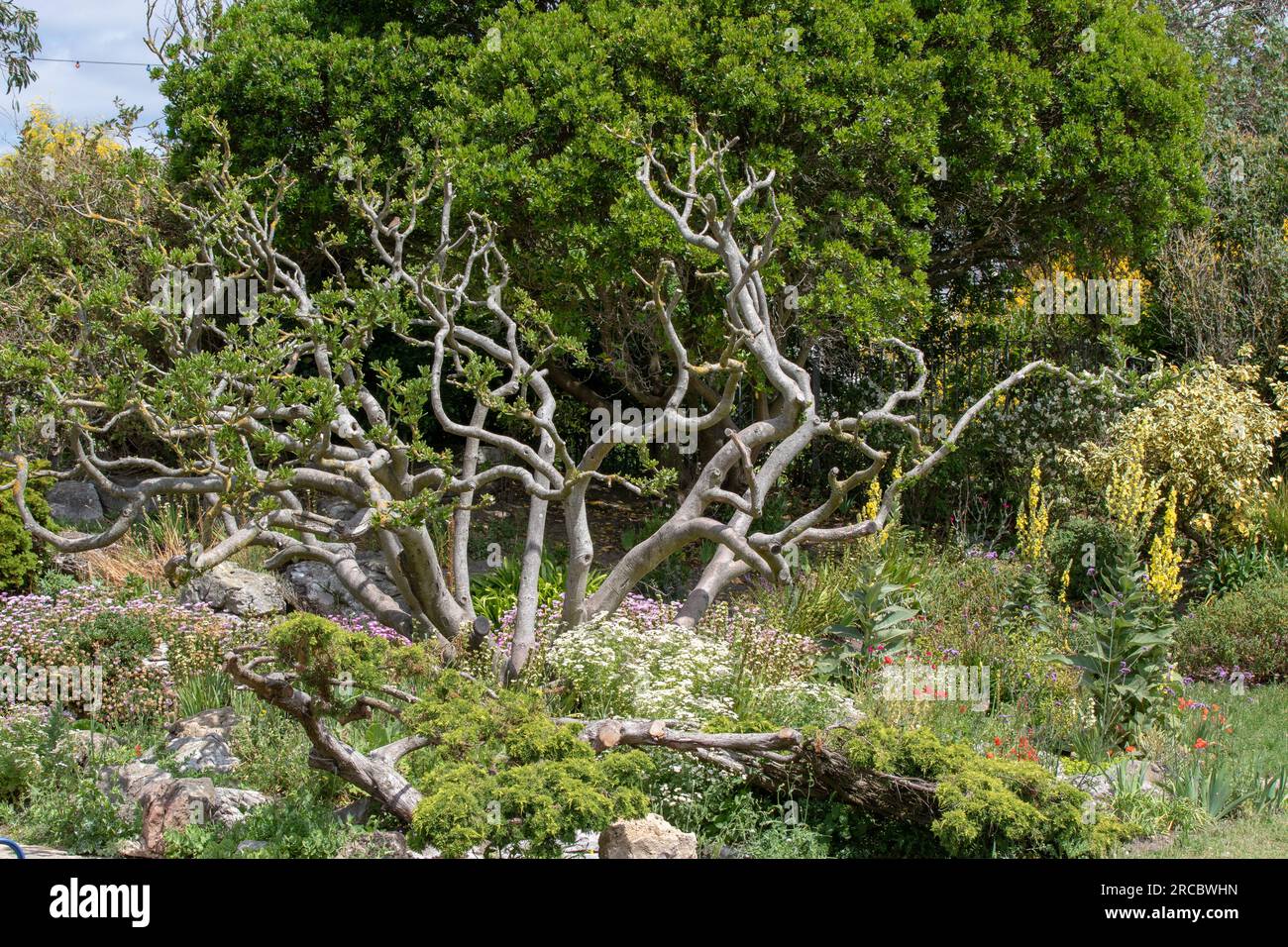 An amazing view footage of the Flora and Fauna taken during my trip to ...