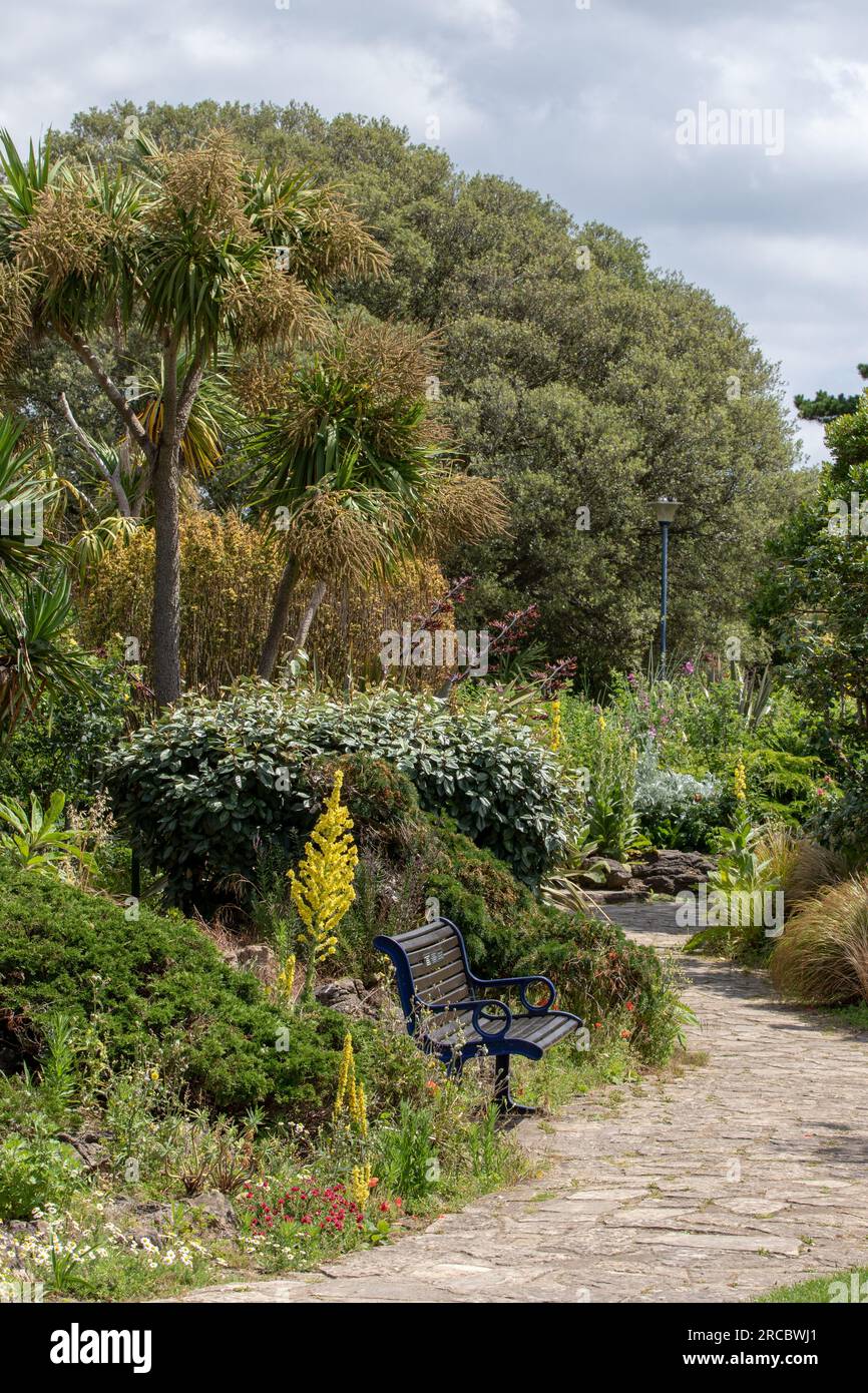 An amazing view footage of the Flora and Fauna taken during my trip to ...