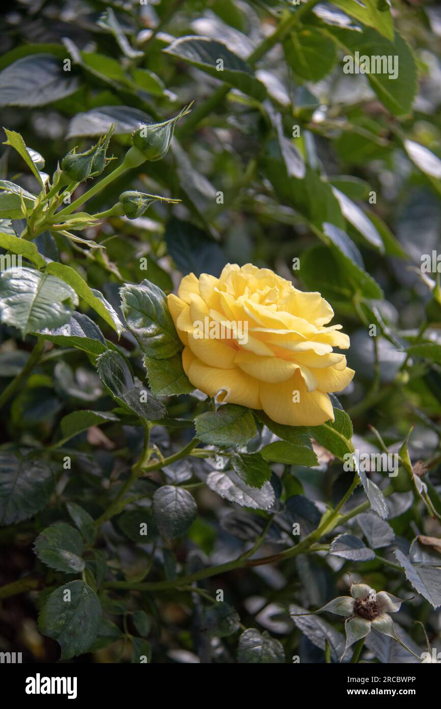 An amazing view footage of the Flora and Fauna taken during my trip to ...