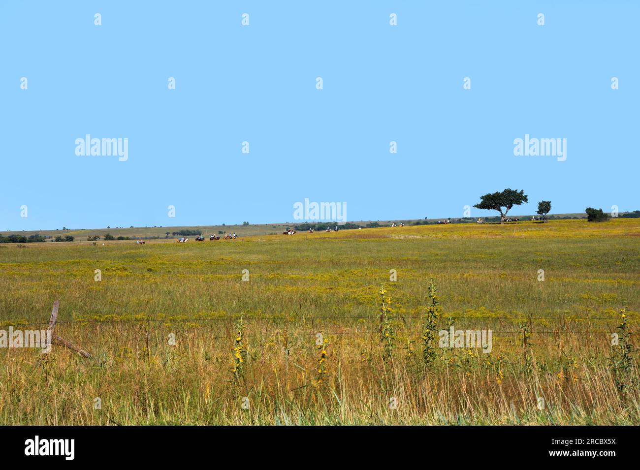 Long line of horses and riders cross the prairie on a trail ride Stock ...