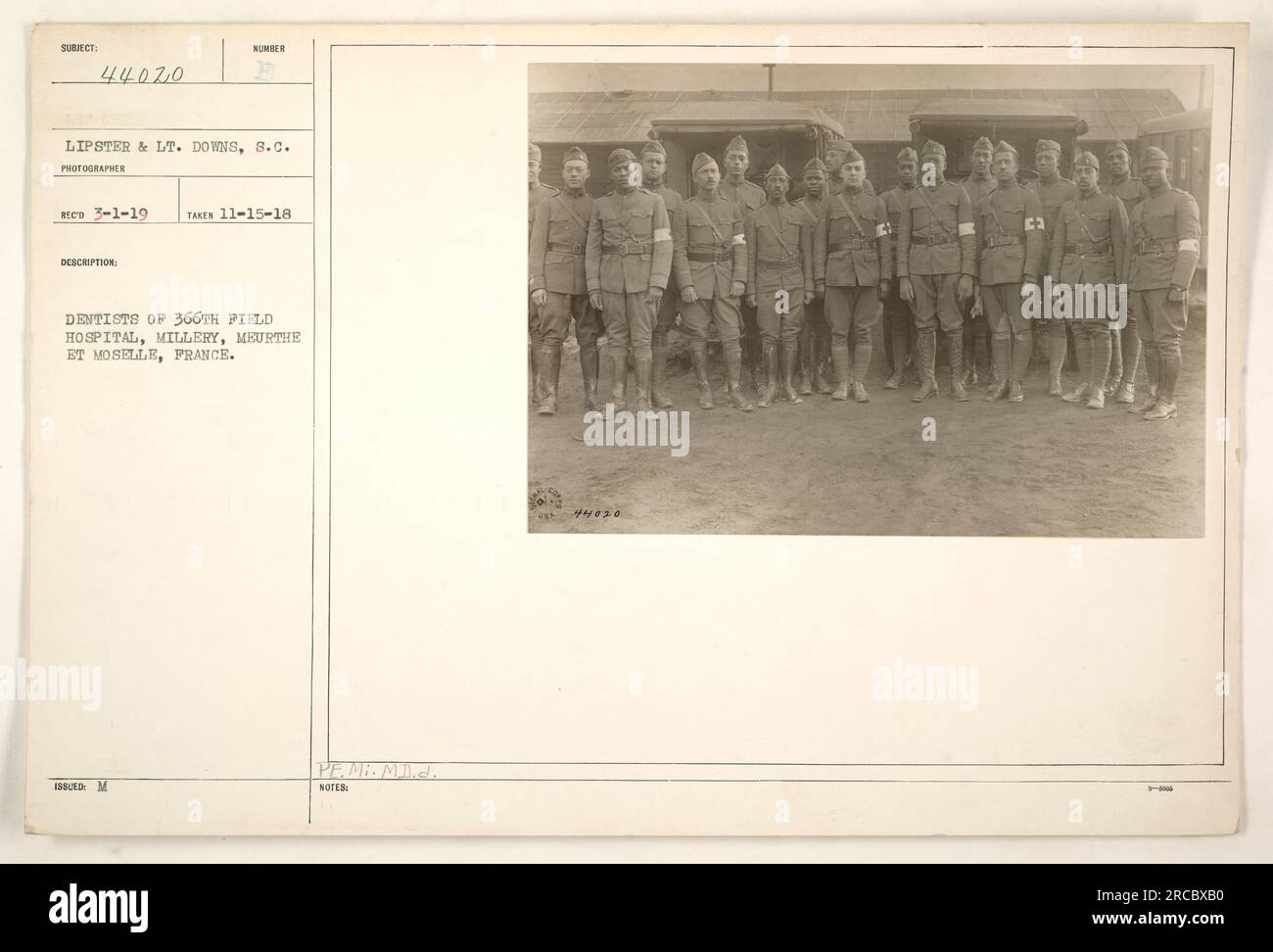 American dentists in wwi hi-res stock photography and images - Alamy