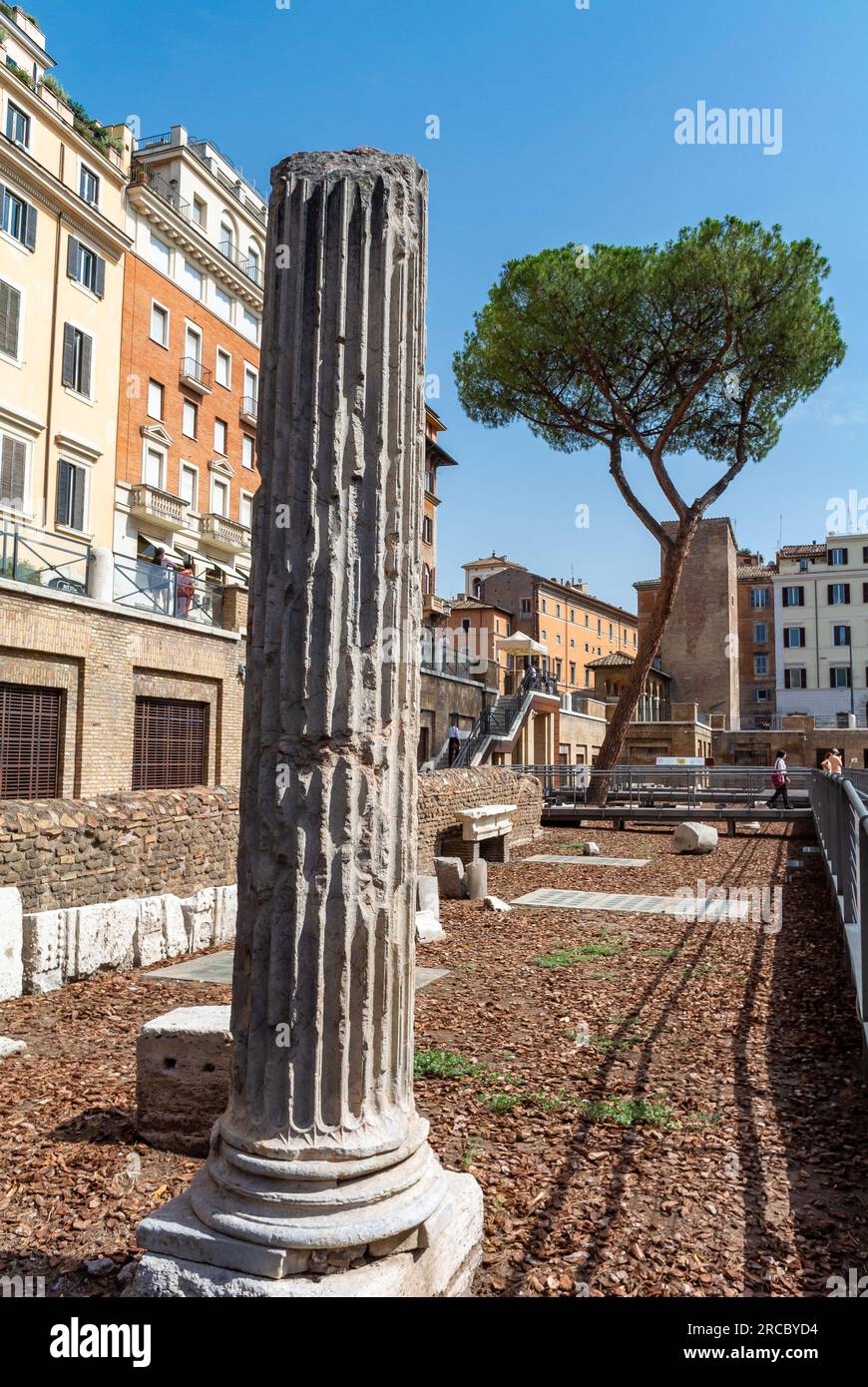 Rome, Lazio, Italy, Largo di Torre Argentina is a square in Rome, Italy ...