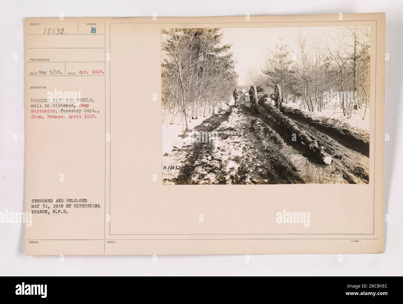 Soldiers logging with big wheels in Camp Mortumier, forestry dept ...
